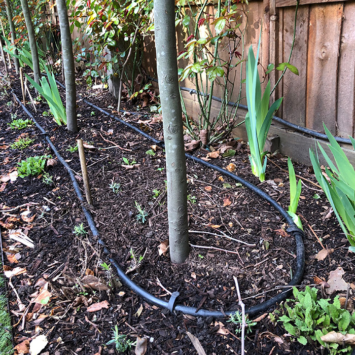 Irrigation Systems - The Bloomsbury Gardener